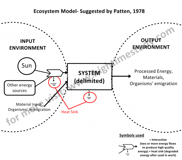 Ecosystem (Introduction) – HIGH TIME STUDY