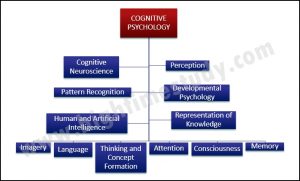 DOMAINS OF COGNITIVE PSYCHOLOGY – HIGH TIME STUDY