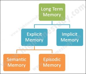 Learning & Memory – HIGH TIME STUDY